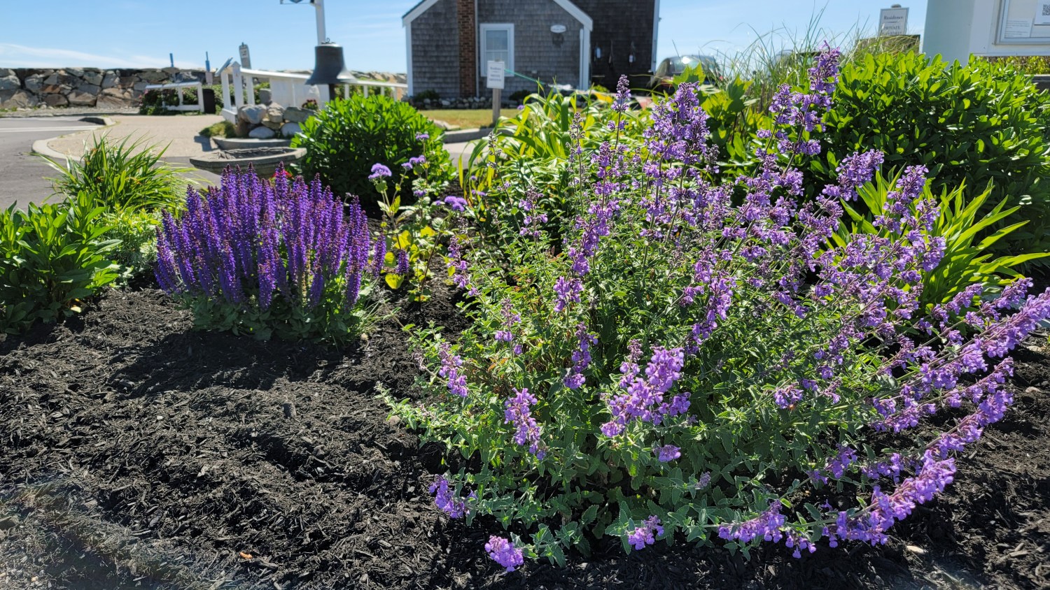 Lightkeeper’s Gallery – The Lightkeeper's Blog